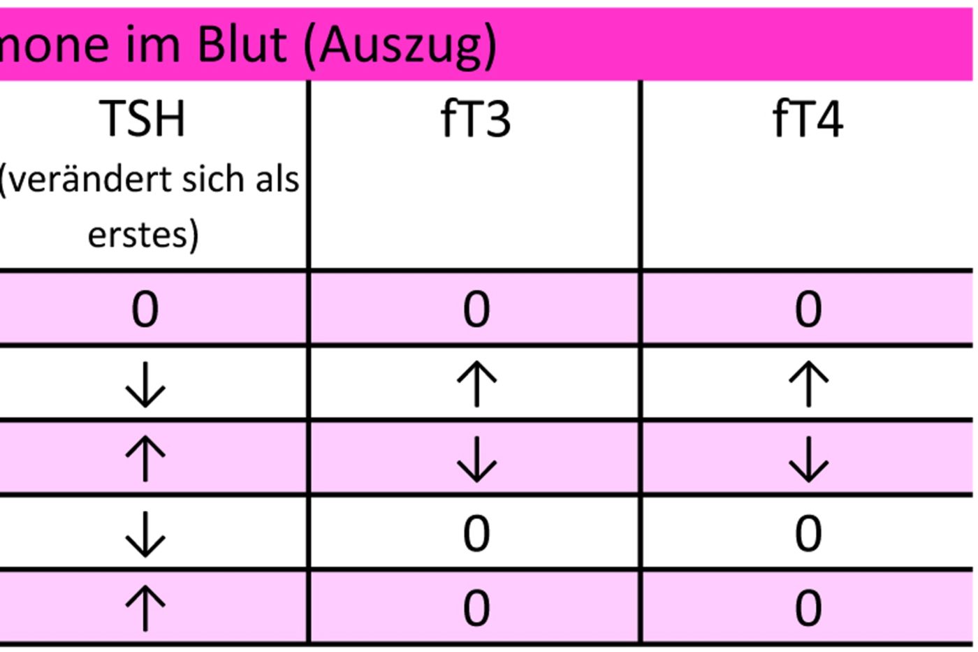 Schilddrüse 360 Informationen